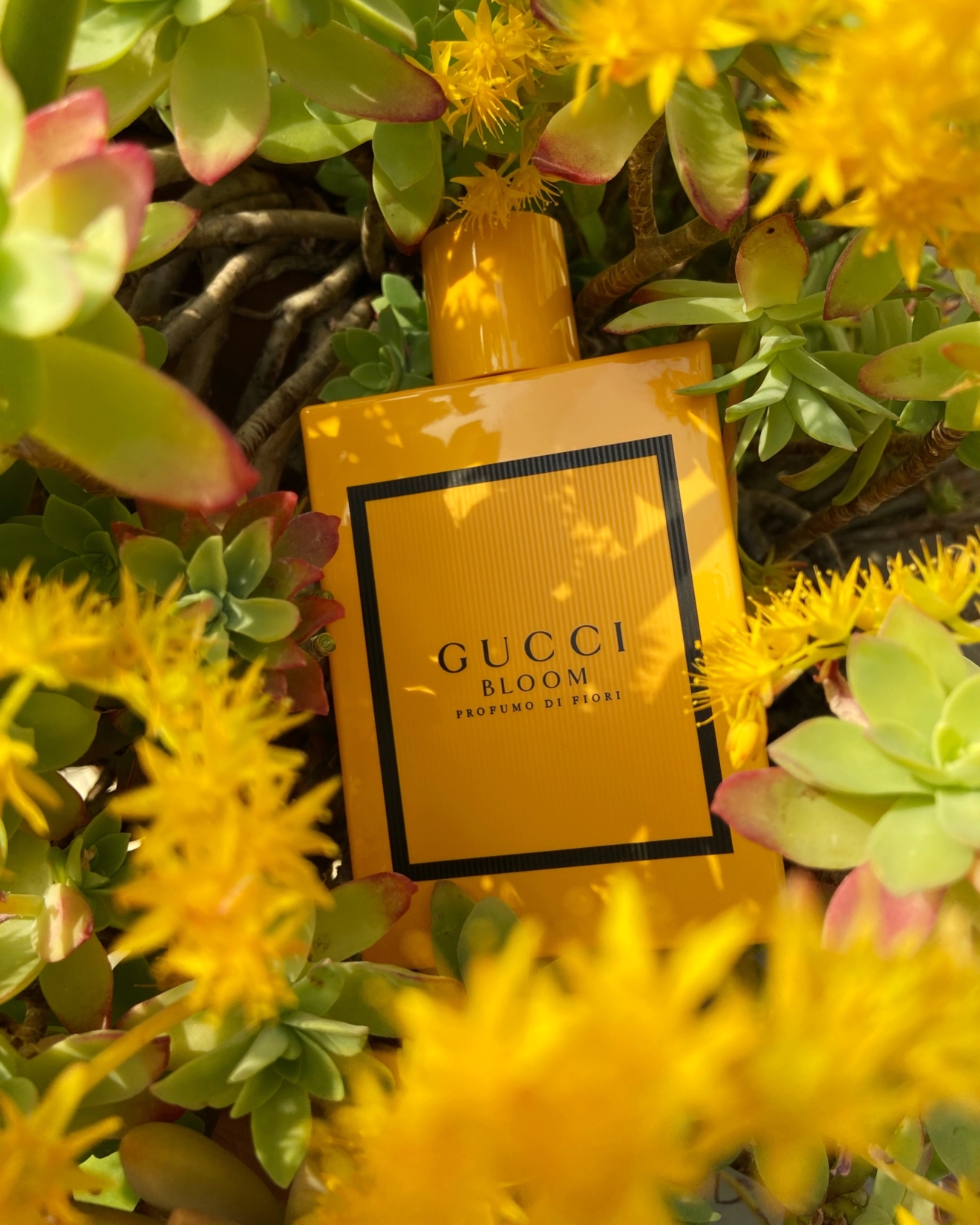 Gucci Bloom Profumo di Fiori — Toh! Magazine