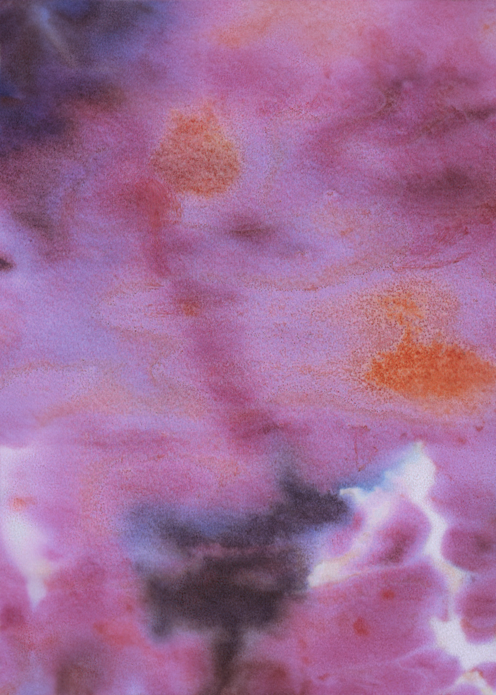 Quentin Fromont: corpi intrecciati e distorti tra natura e oscurità